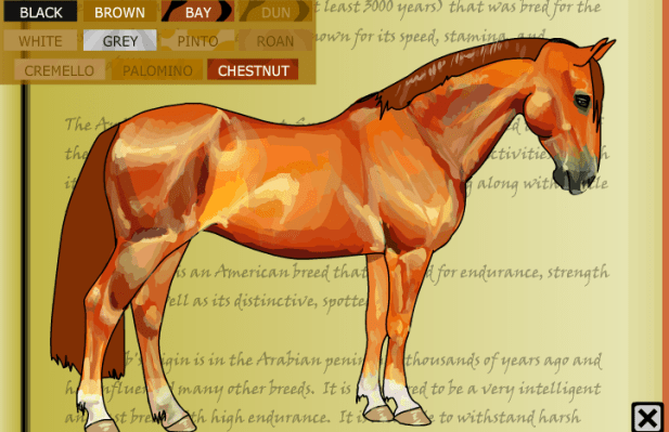 The Irish Draught Horse – 10 Incredible Facts