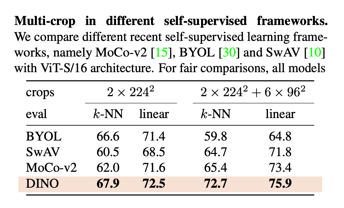 DINO Explained: How Self-Supervised Learning Unlocked Vision Transformers