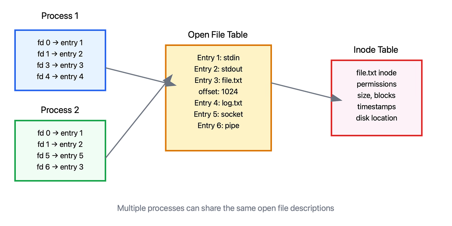 Fork() and File Descriptors: The Unix Gotcha Every Developer Should Know