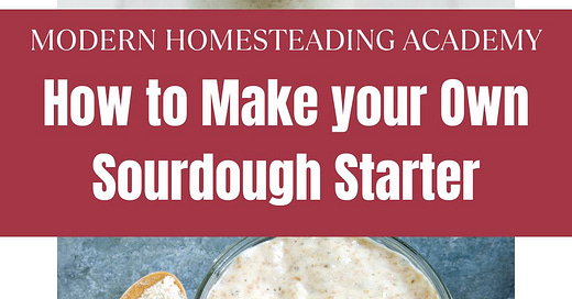 Backyard Farming Connection: Homesteading and Gardening | Gretchen at Backyard Farming | Substack