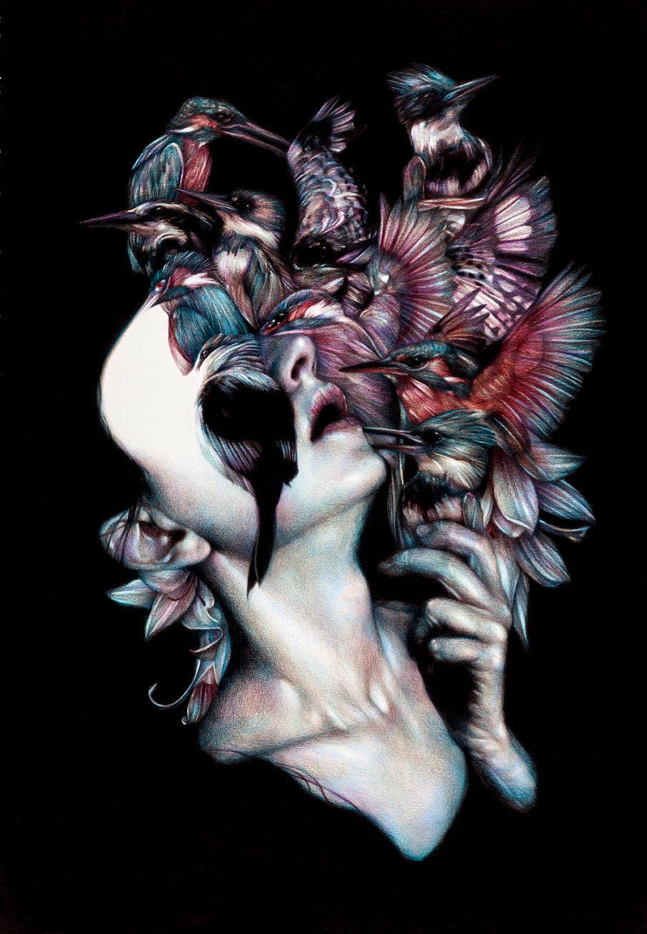 Holly Haworth | Substack