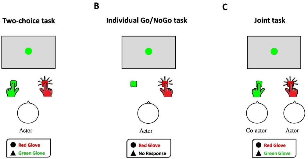 The Socially Attuned Mind: How Cognition Extends into the Social ...