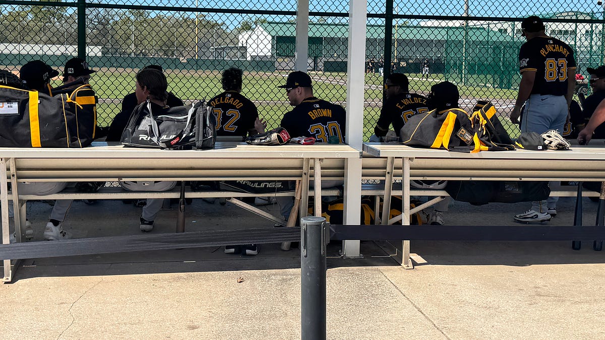 Morning Rundown: Pirates make additions through the organization, Seth ...