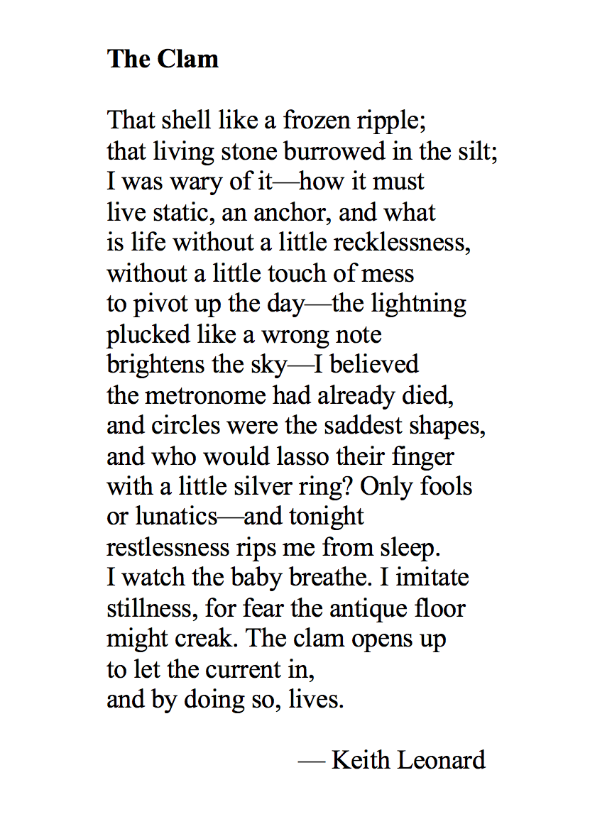 Poems for Your Weekend - by Maya C. Popa - Poetry Today