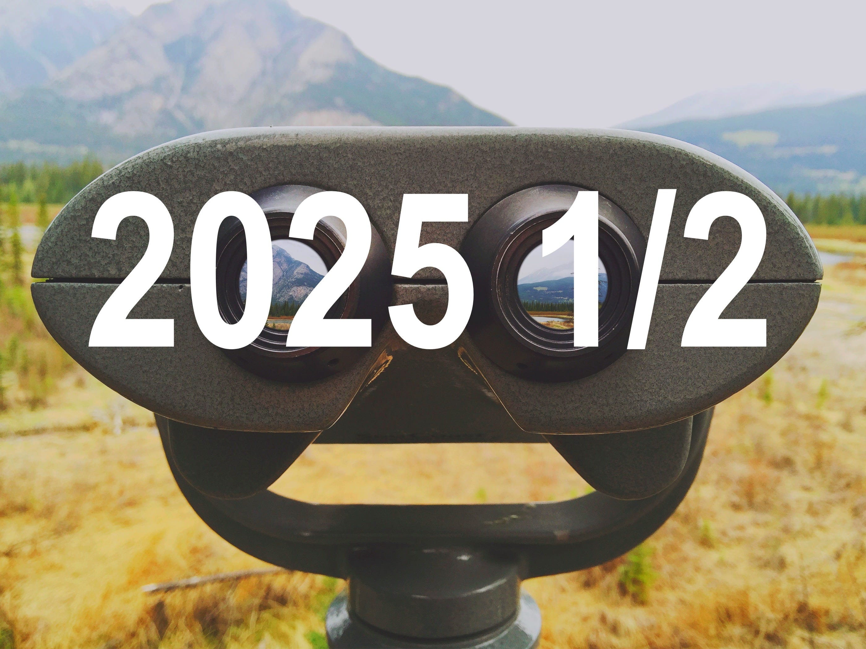 Halfway Through 2025 - by David Roseberry - The Anglican