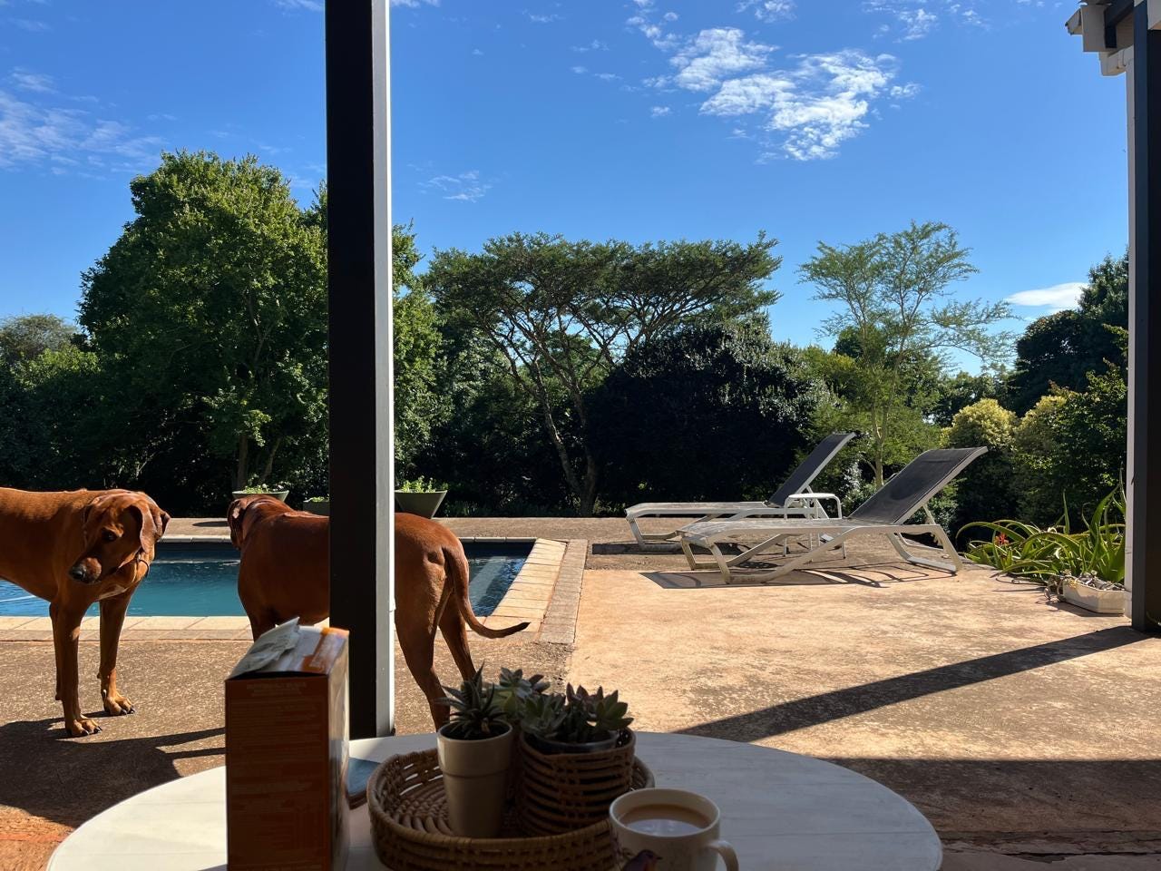 Listening to the birds - by Lindsay Foss - Tuesdays