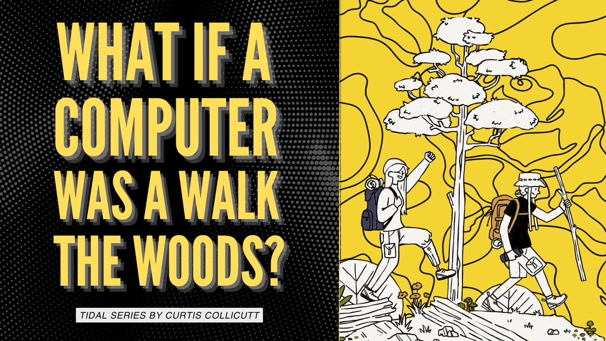 What if a Computer Was a Walk in the Woods? Why Should an AI Computer ...