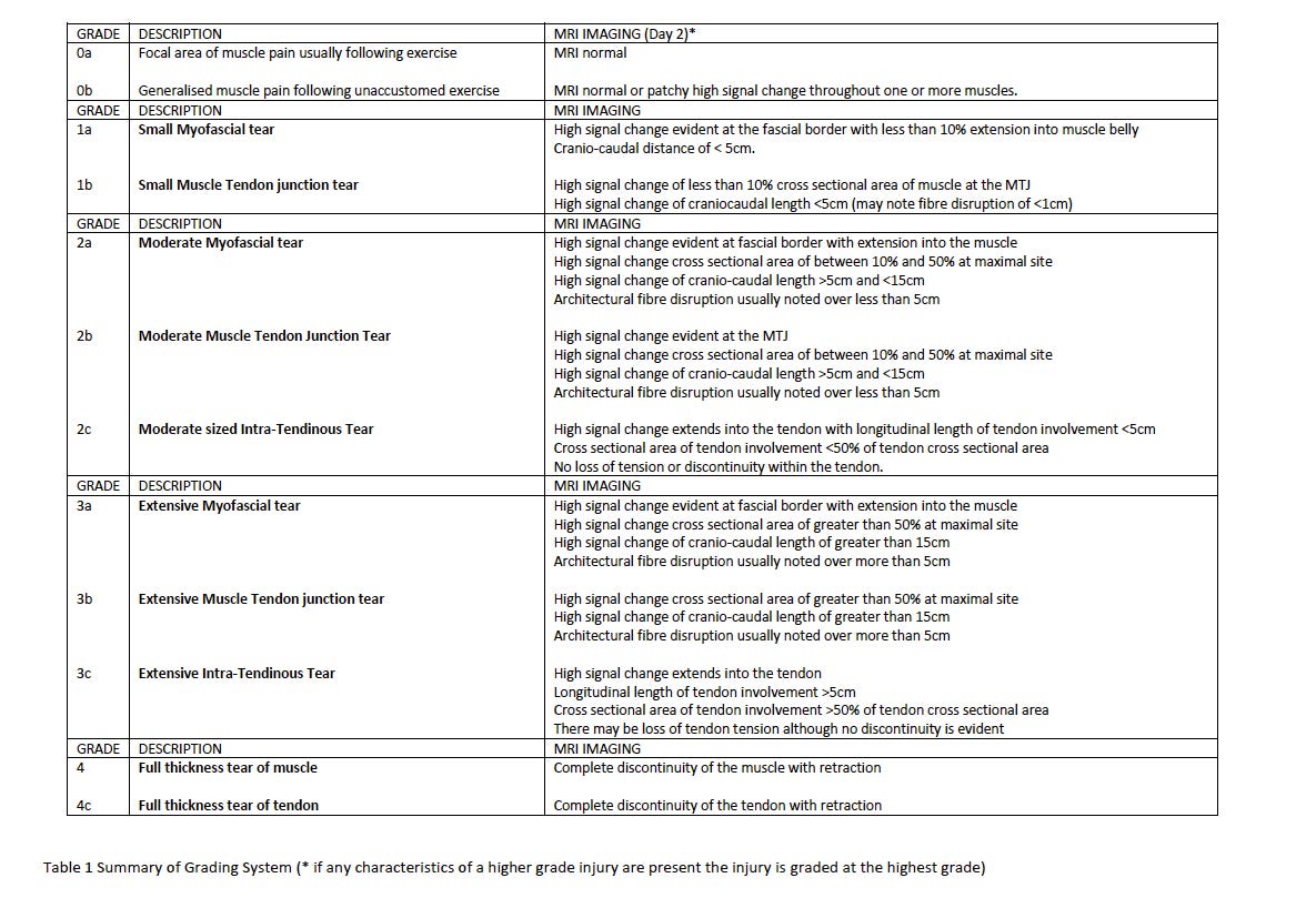 Out with the old, in with the new: A more detailed, functional grading ...