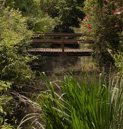 Helen C Stark | Substack