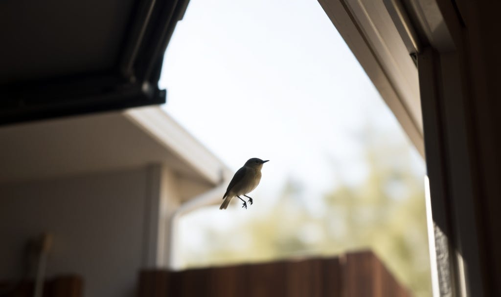 The Little Bird and the Baptism of Jesus - by Linda Cobourn