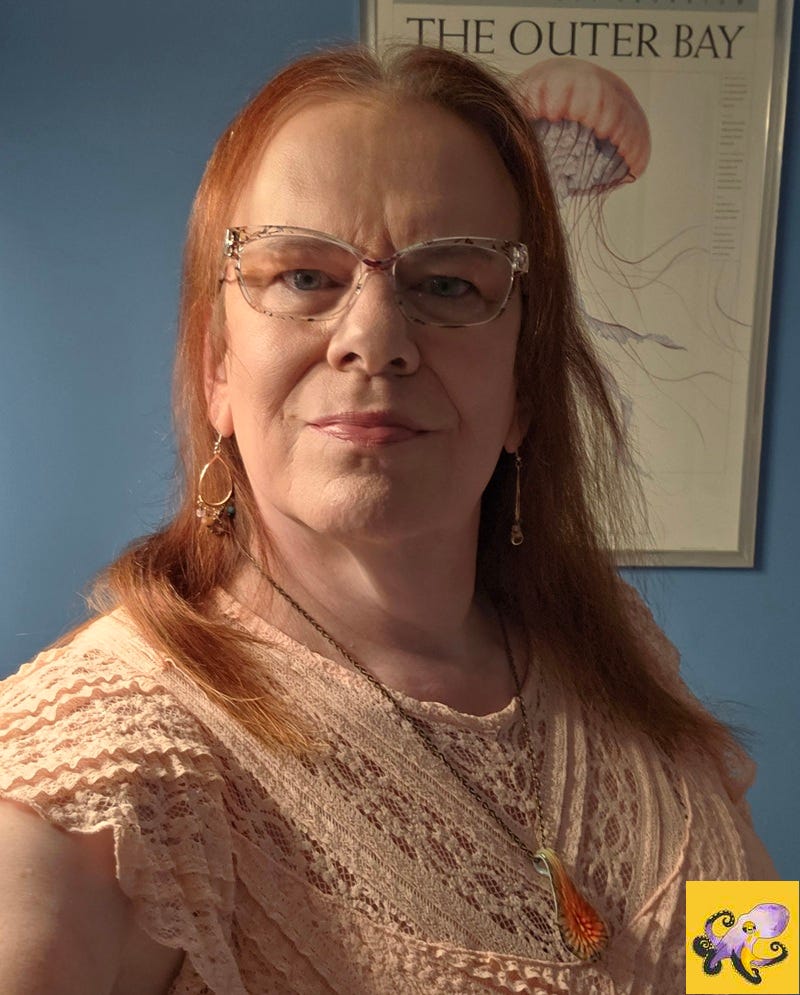 Letter to my House Representative - by Clara Ries