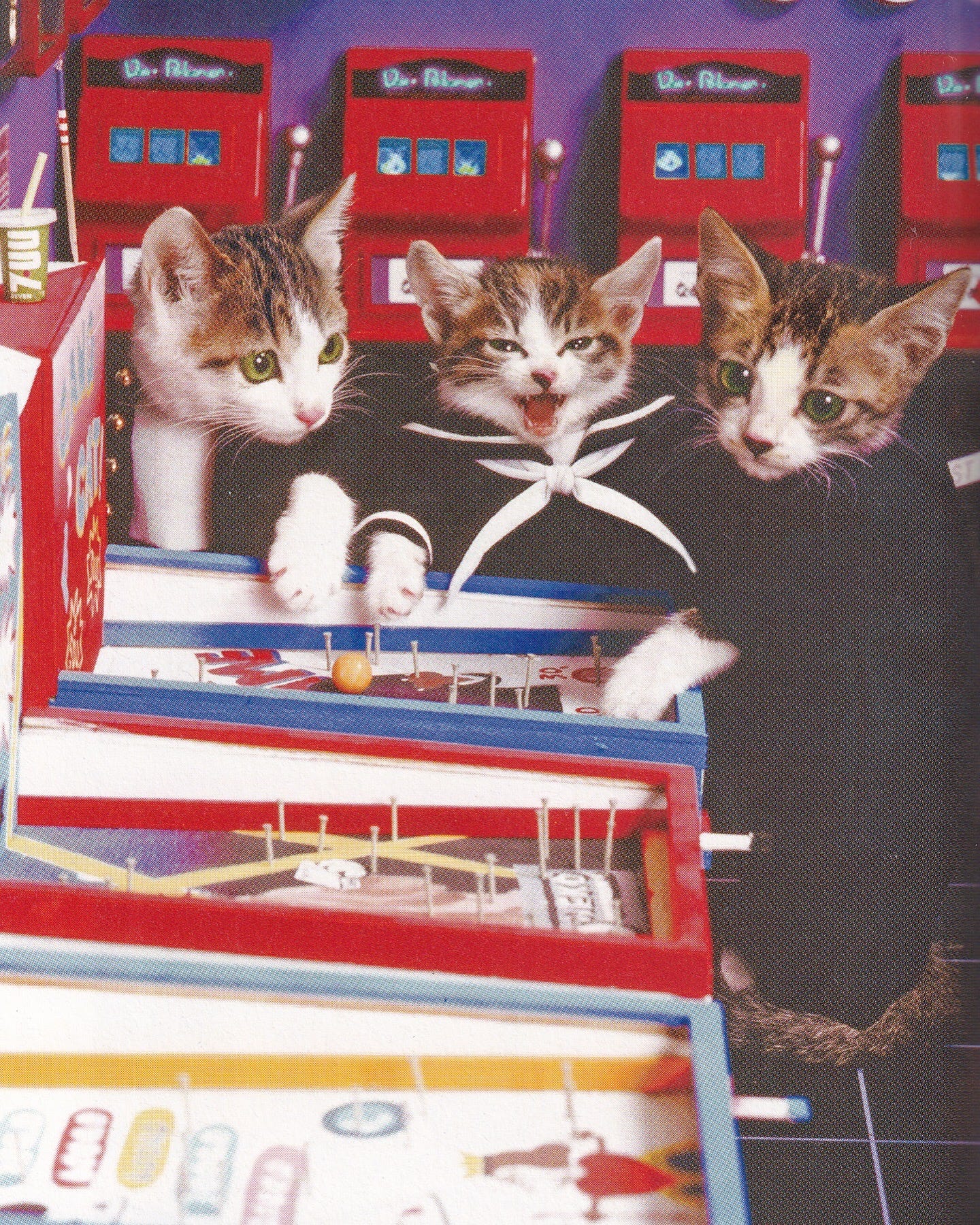Pinakotheca (@pinakotheca1): "“Nameneko Cats!” By Satoru Tsuda, 1980s ...
