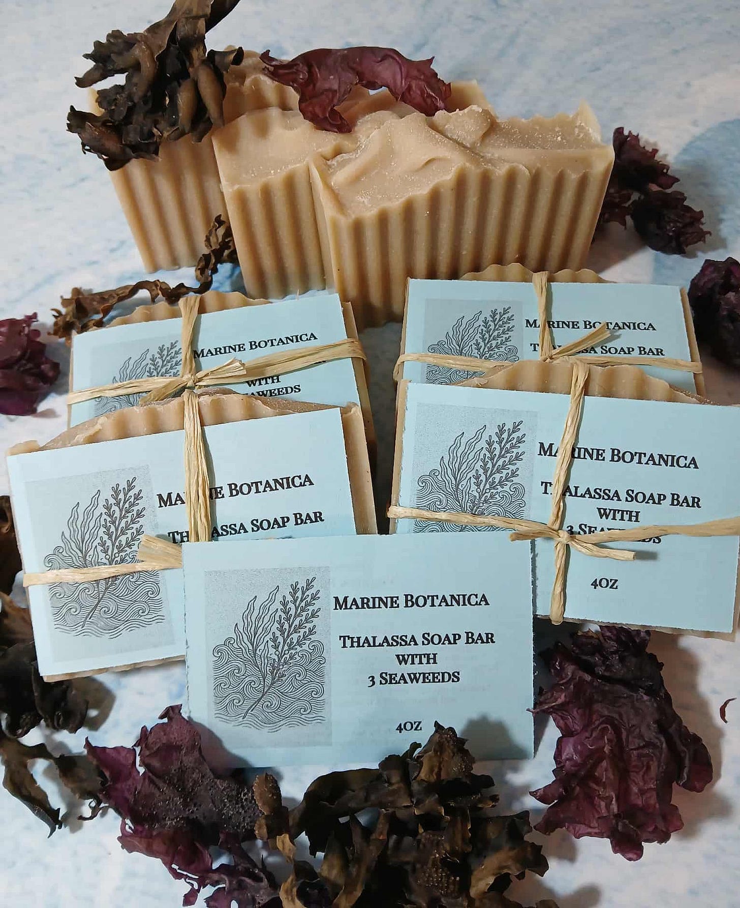 Winter Break + New Seaweed Soap Release - by Kristy Bredin