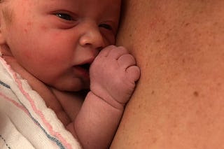 The Lactation College on Substack | Barbara L. Philipp, MD | Substack