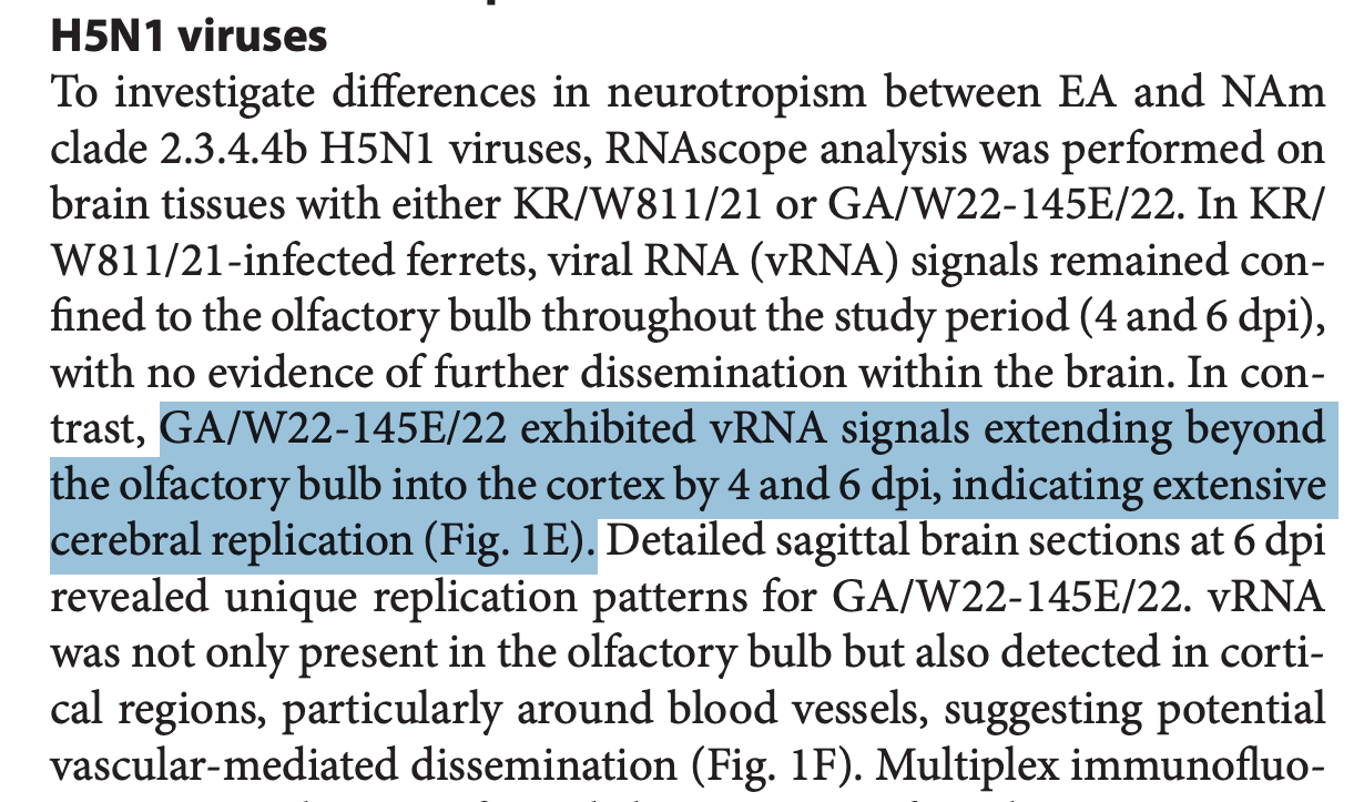 Scientists Create Strain Of Bird Flu That Has 100% Death Rate In Mammals