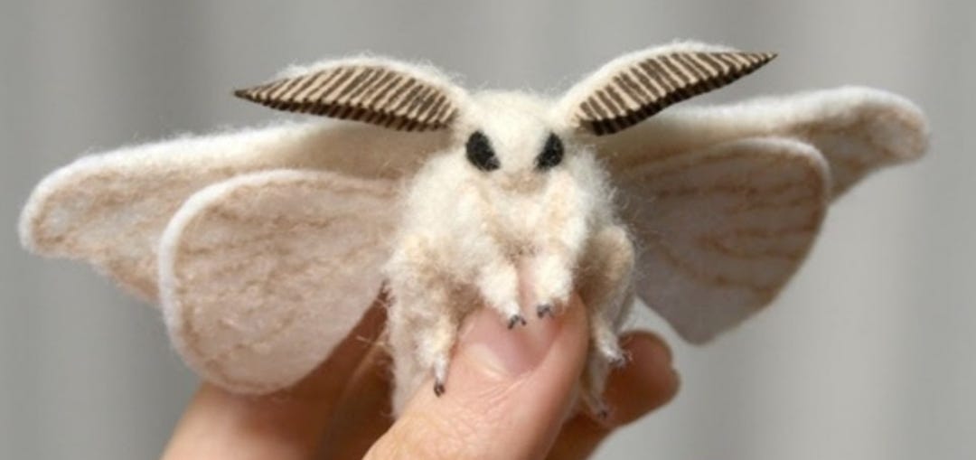 Insect Suffering Is The Biggest Issue In The World