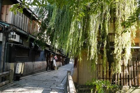 The Allure of Miyabi - by Kenta Kaneda