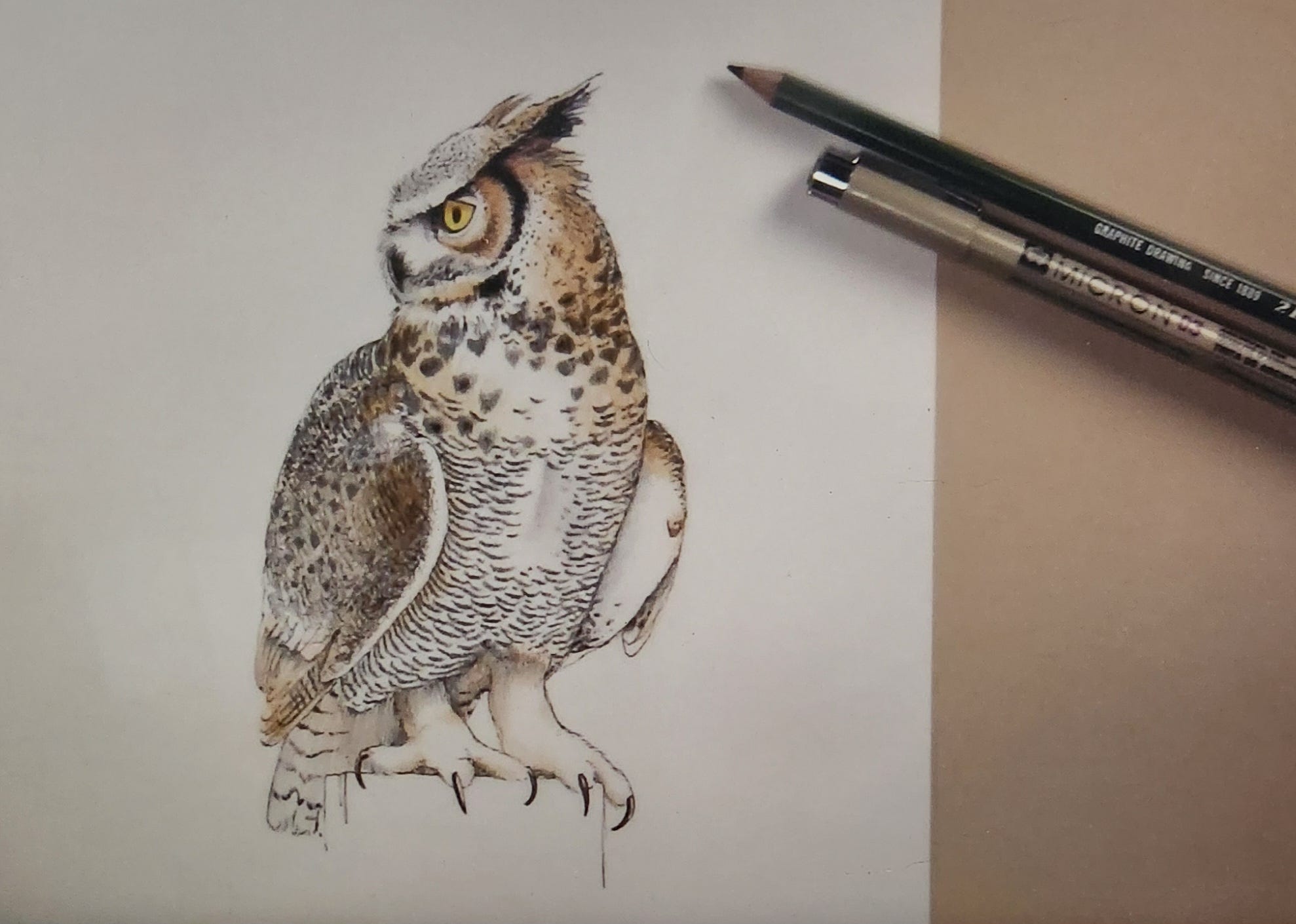 Drawing the great horned owl - by Val Webb