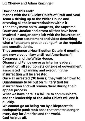 Adam Kinzinger | Substack