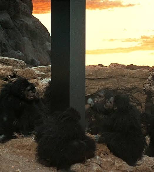 I'm a monkey & that's a Monolith! - Incautious Optimism