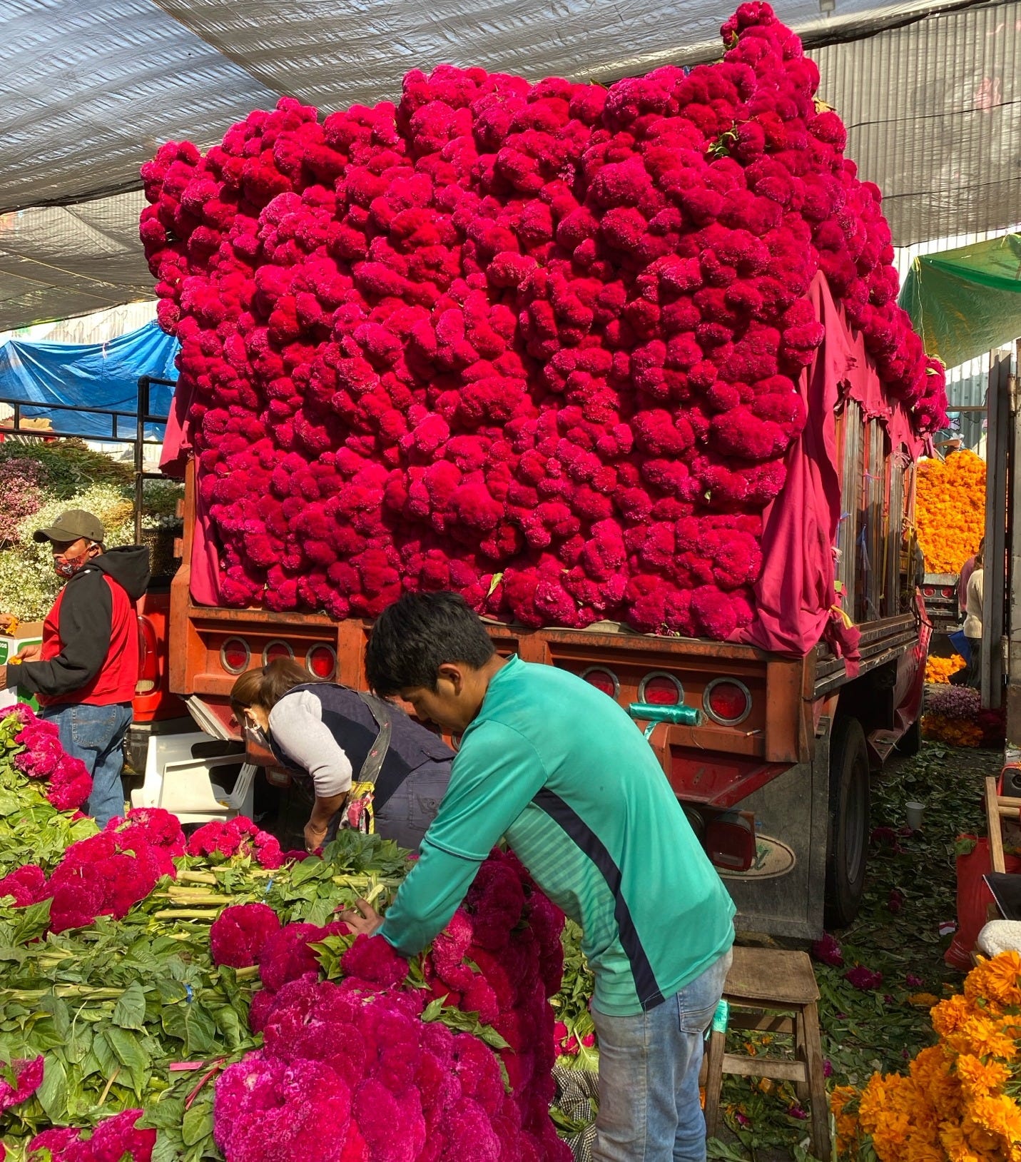Flowers of Día de Muertos: Meaning, Uses & Symbolism