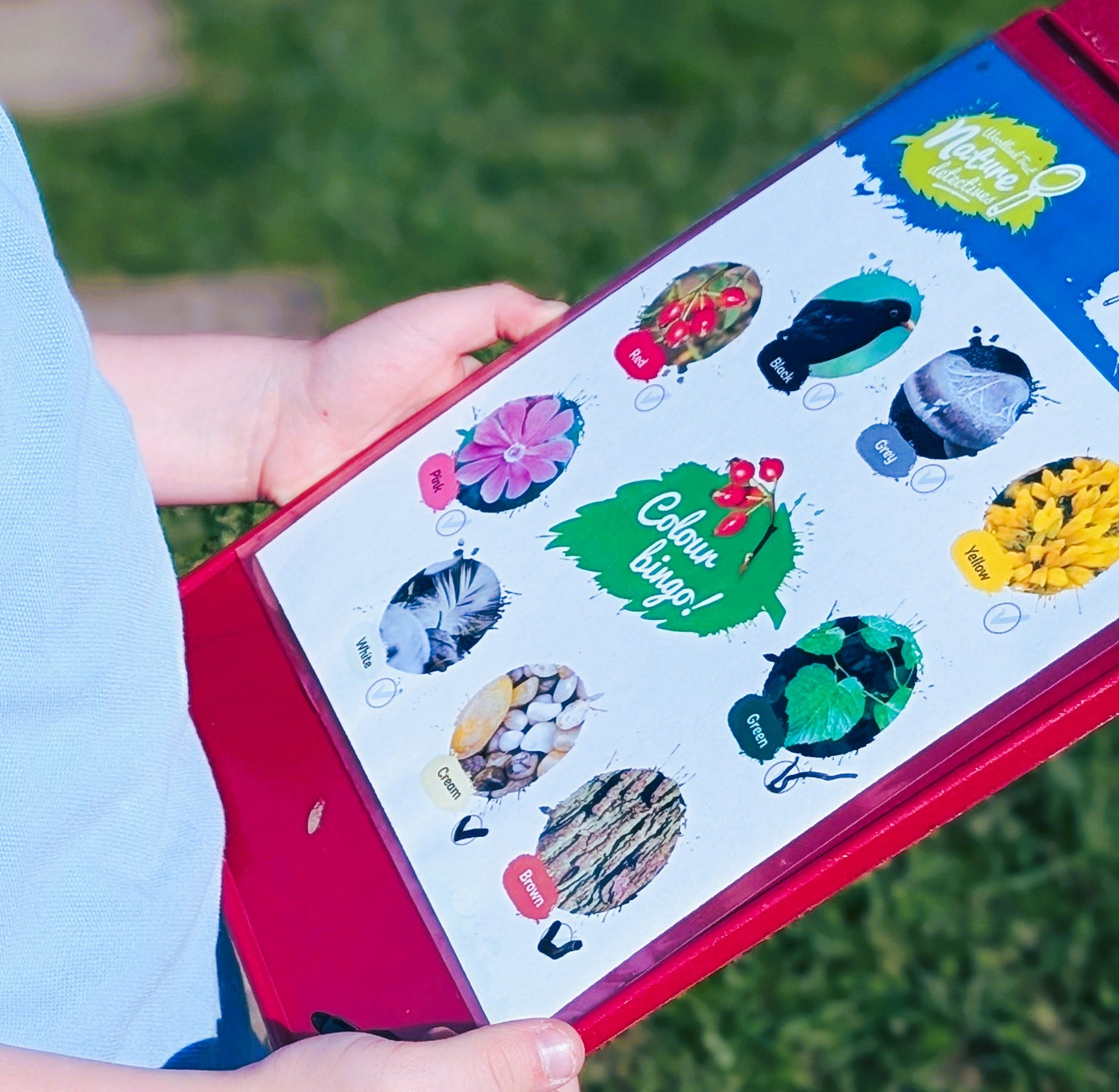 Adventures in Nature's Classroom - by Jennifer-Ann Lovelle