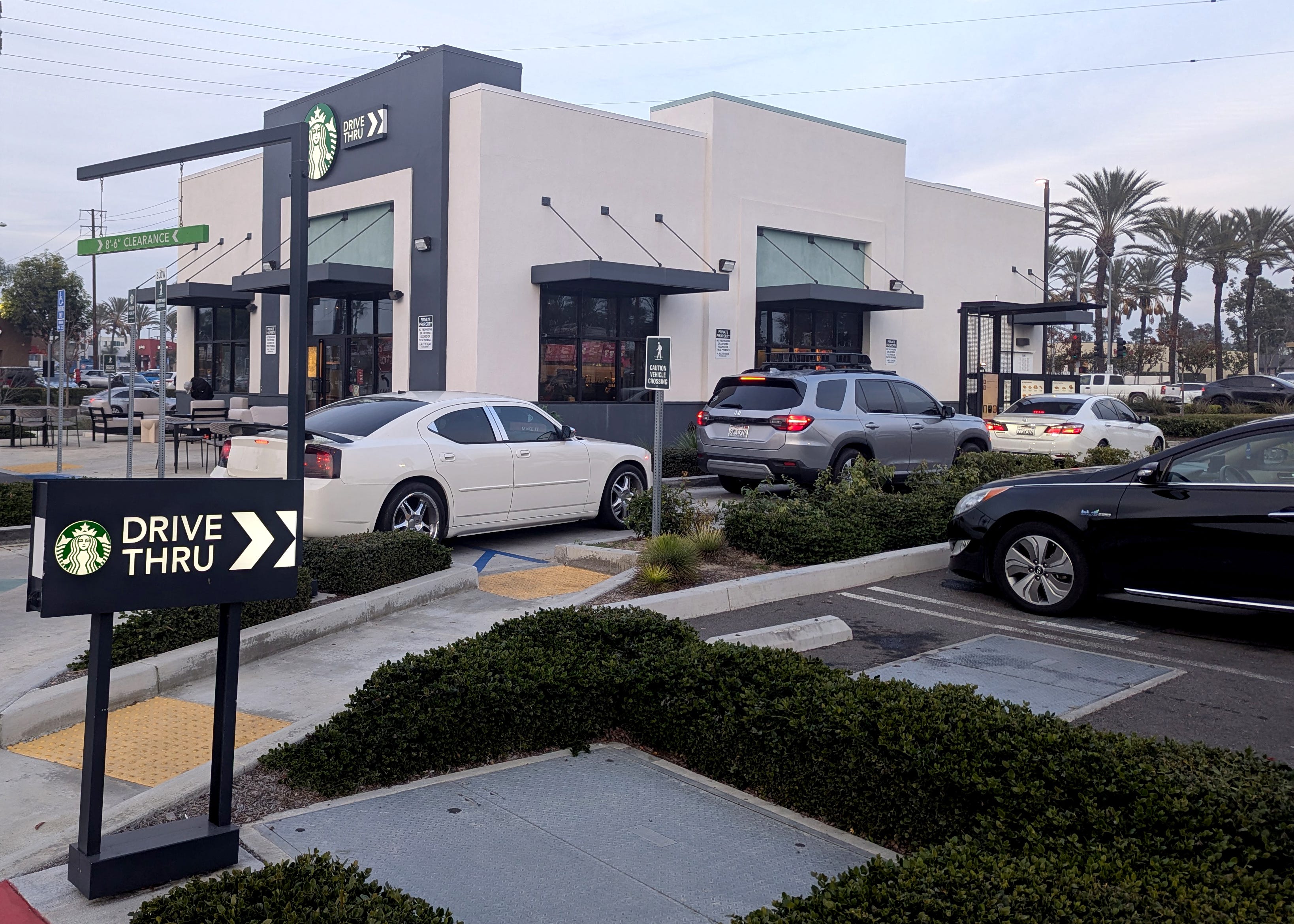 Taming the internet - by Vincent Bevins - North South Notes