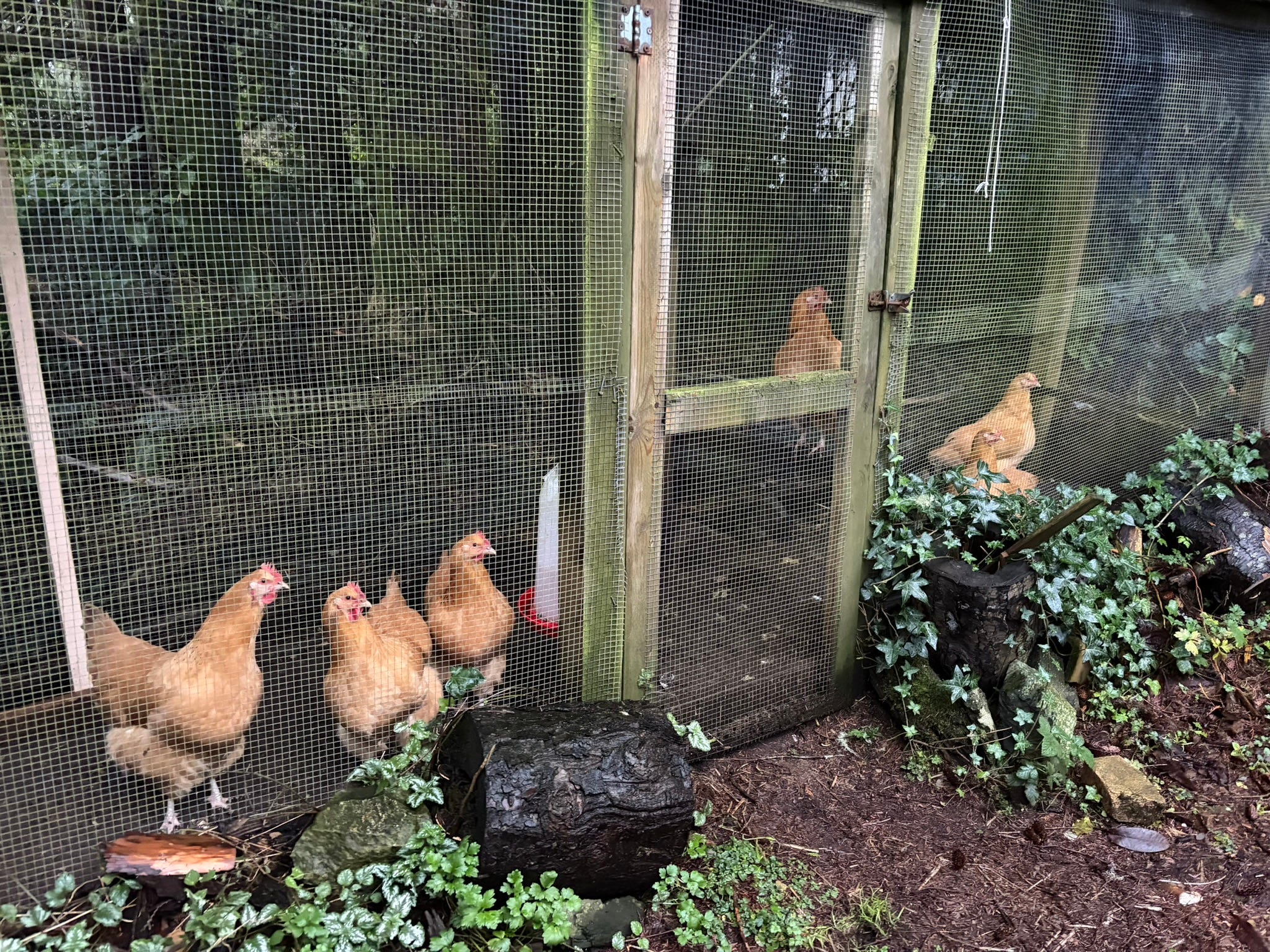 A Letter from Tom, January 2026 Edition - Tom’s Substack