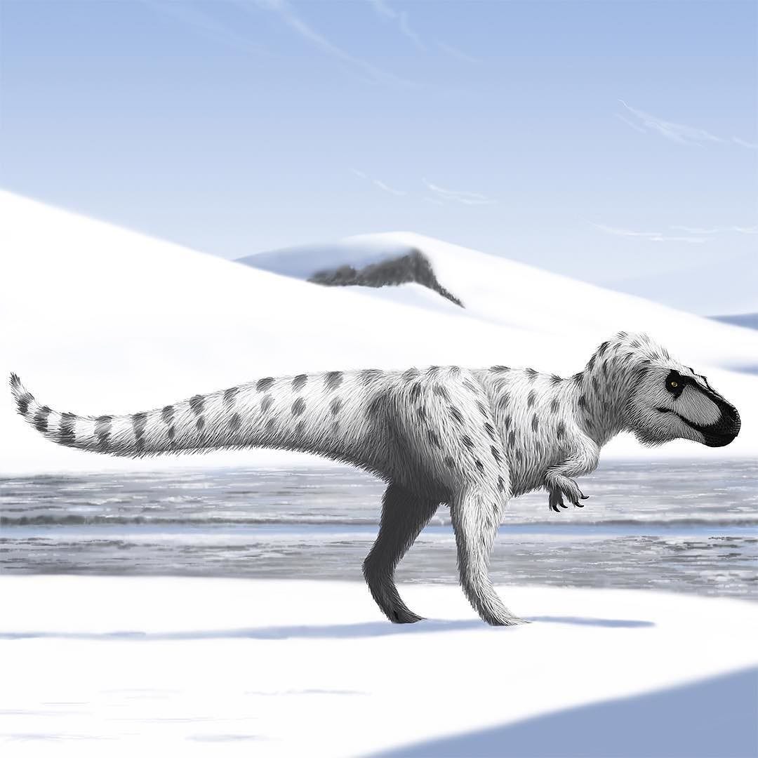 The Arctic Tyrant: Nanuqsaurus of the North Slope
