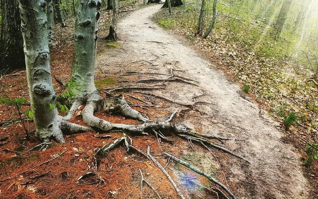 A Letter to My Adult Children Who Have Come of Age in the Trump Era