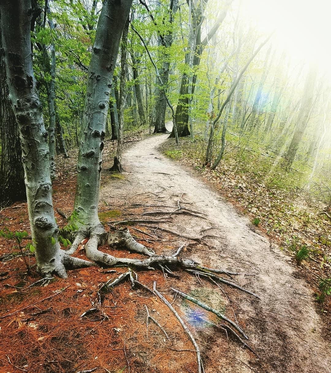 A Letter to My Adult Children Who Have Come of Age in the Trump Era