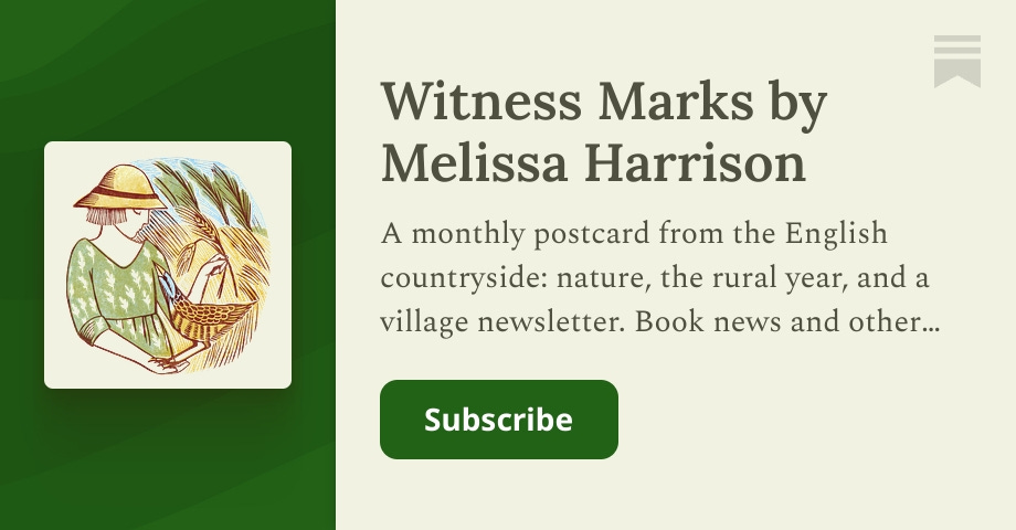 Witness Marks by Melissa Harrison | Substack