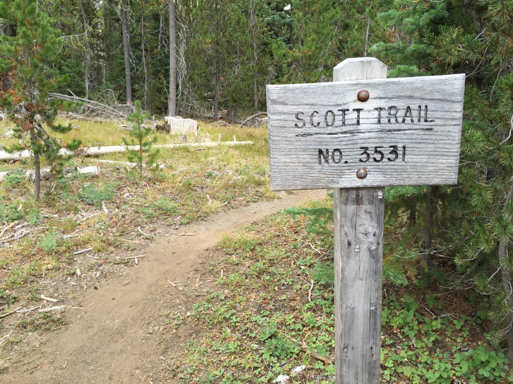 Scott Trail to Four-in-One Cone, Obsidian Trail