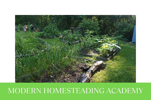 Backyard Farming Connection: Homesteading and Gardening | Gretchen at ...