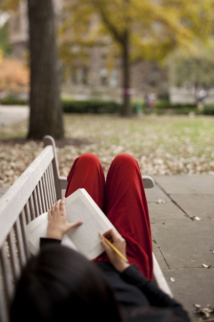 Create Your Personal Reading Aesthetics - by Julianne Hues