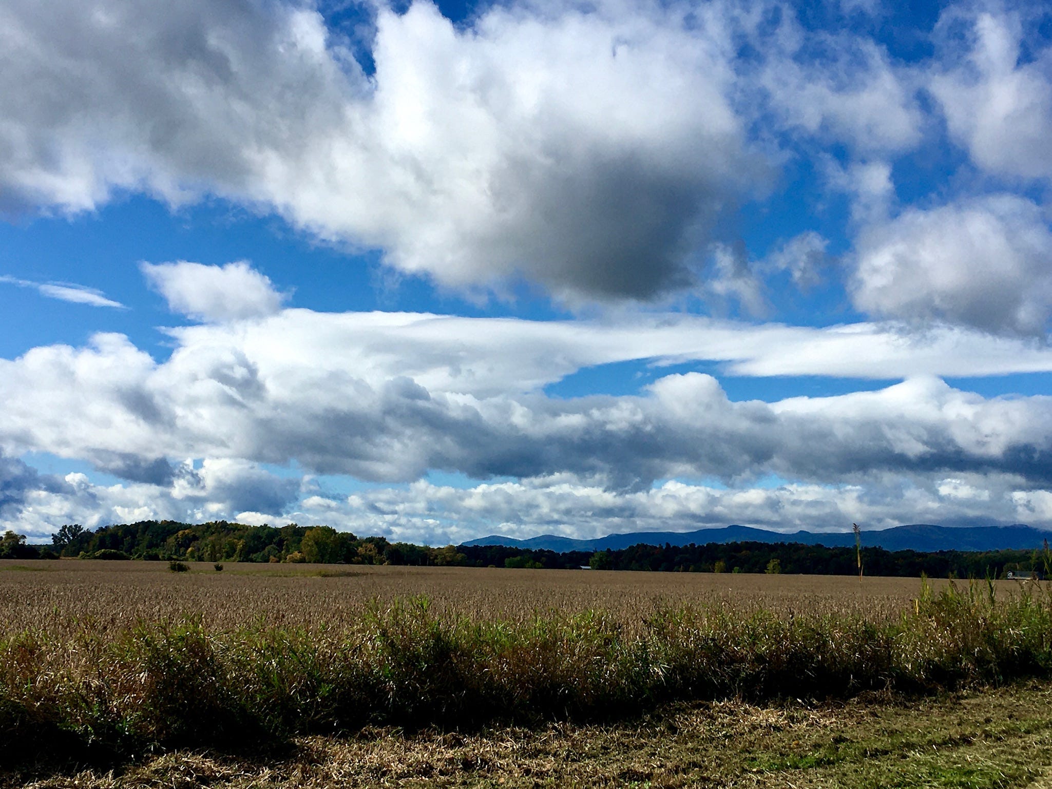 Seeing all the sites - by Kris Martin - NY Solar Divide