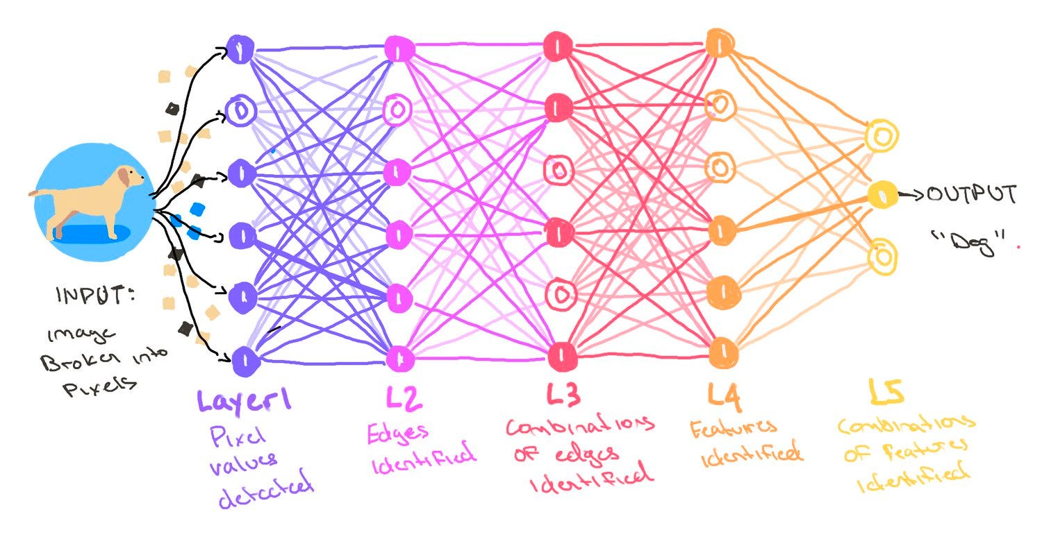 Neural Networks 101: Understanding the “Brains” Behind AI