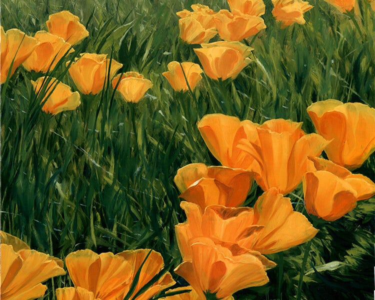Poppies (2020) - Randy Gallegos: Art of the Day