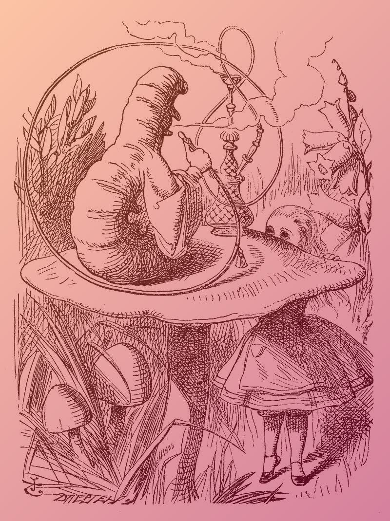 Structuring Your Genealogical Research - by Aryn Youngless