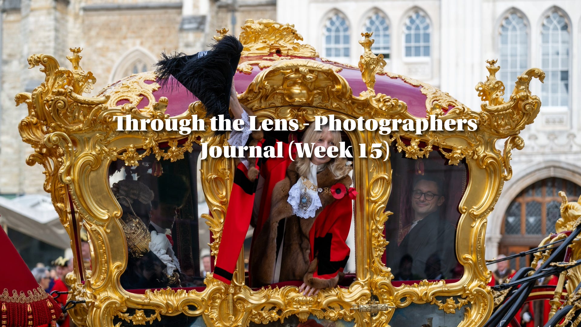 Through the Lens - Photographers Journal (Week 15)