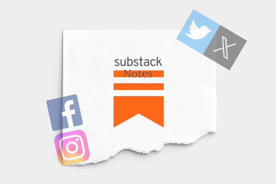 THE NEW SUBSTACK NOTES [Updated 2024] - by Sarah Fay, PhD