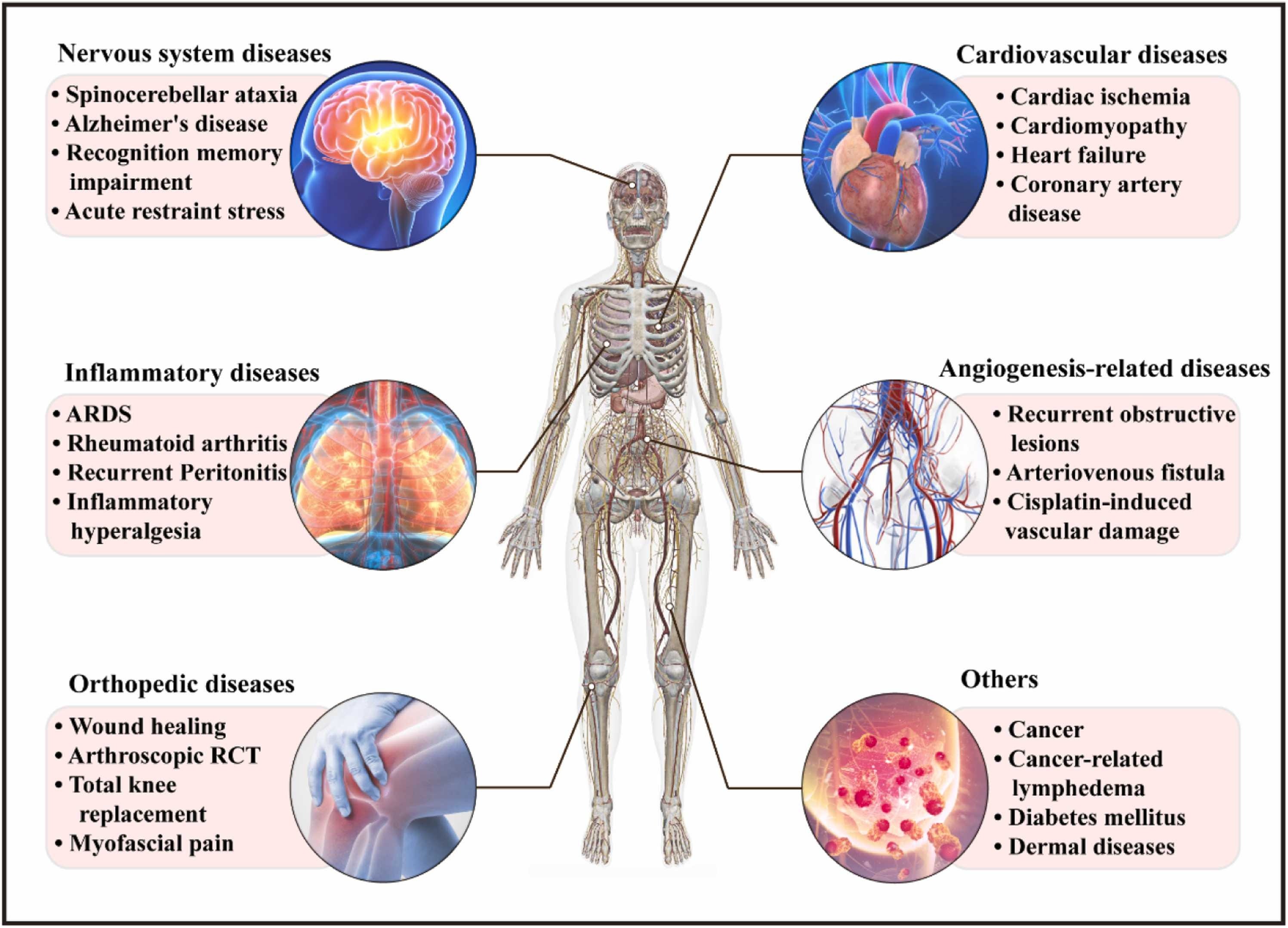 The Real Benefits of Far Infrared Light - by Zaid K. Dahhaj