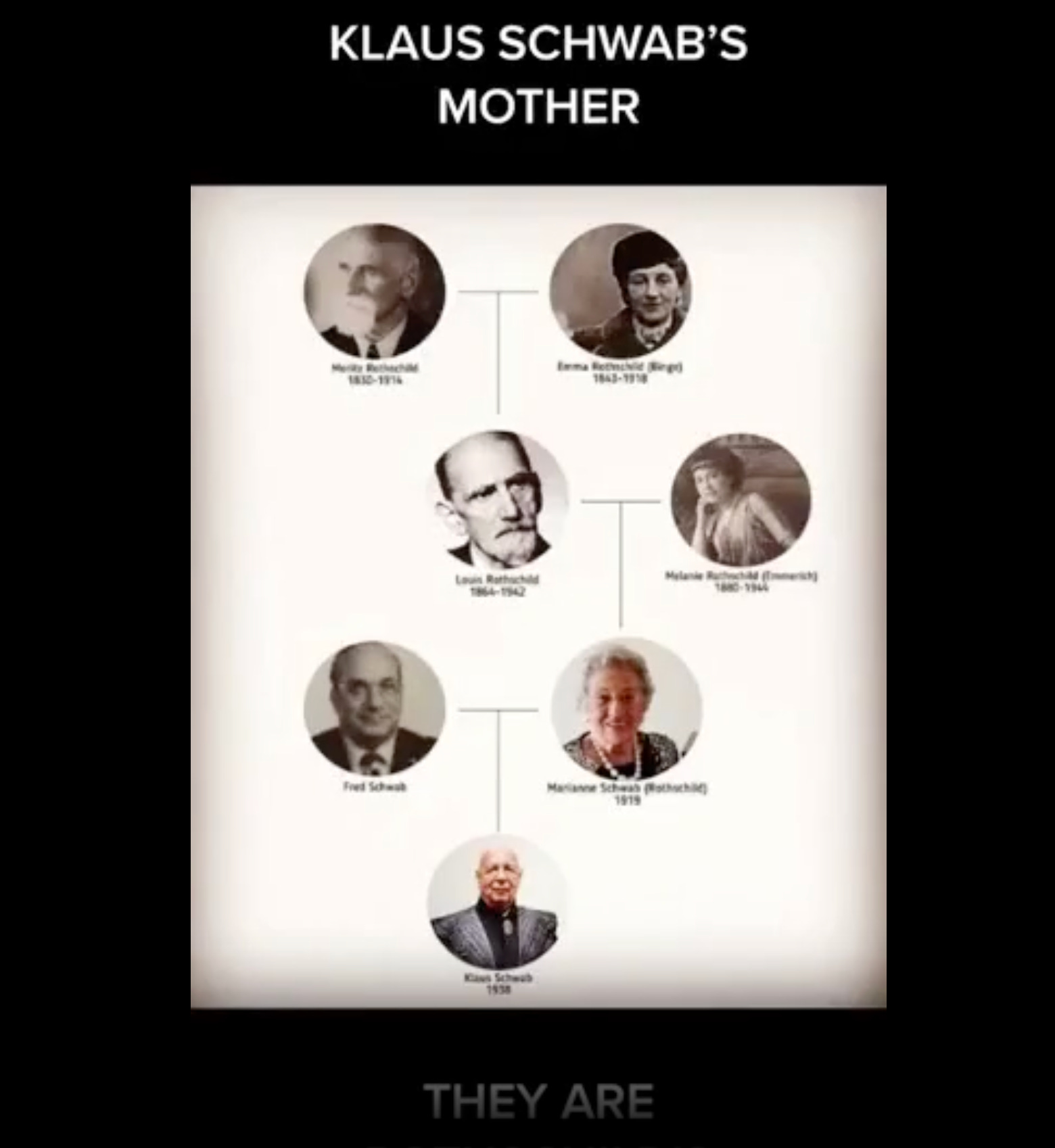 Alienmectin - by Vigilant Amalek Snow Leopard