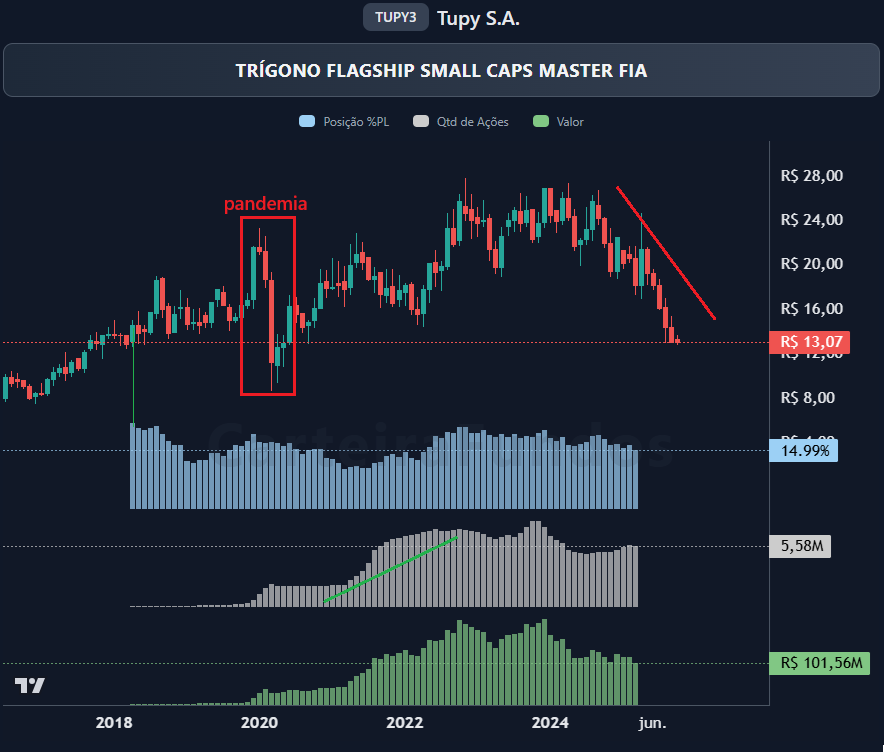 Entendendo a performance do TRÍGONO FLAGSHIP SMALL CAPS