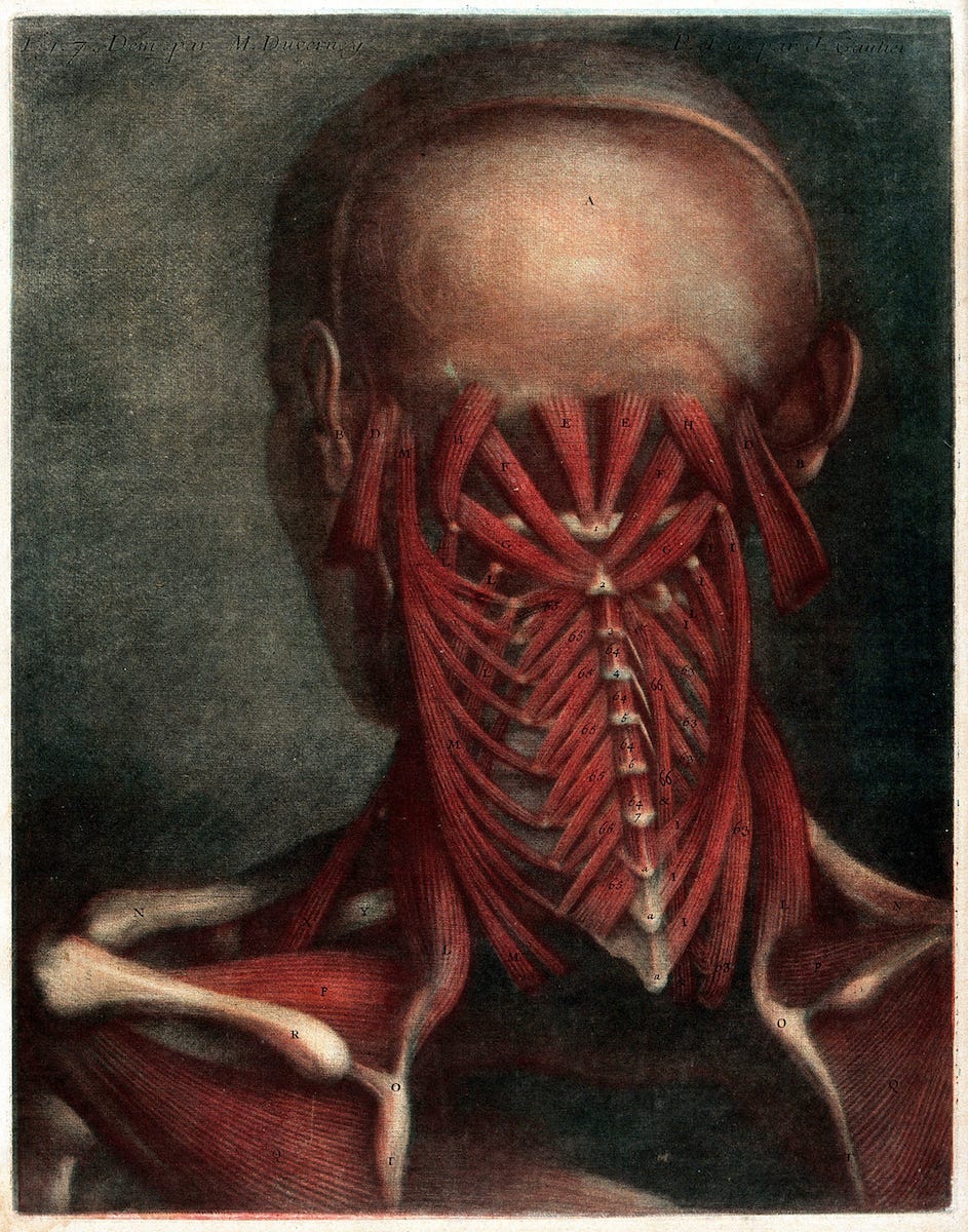 The Disturbing Rise of Splatterpunk - by Sam Ballantyne
