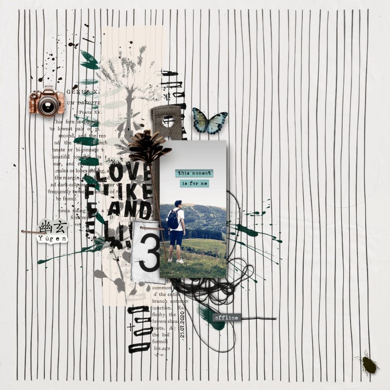 Life in Pictures Deconstructed No.6