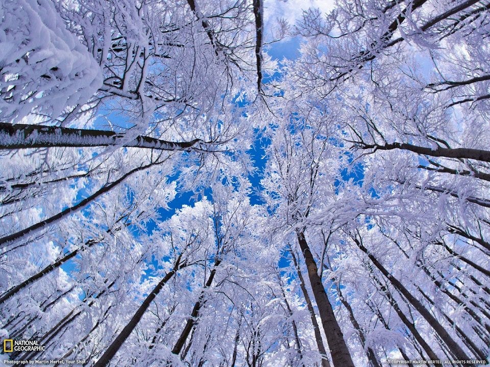 Winter Scenes to Celebrate the Solstice and the Beauty of God's Creations!