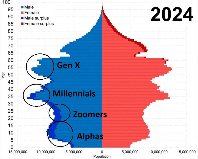 Comments - China's Demographic Window to Action is Closing