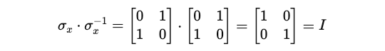 A Deep Dive Into The Mathematics Of Pauli Matrices