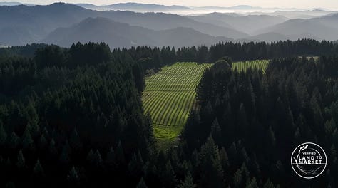 Tasting Dirt - Dave McIntyre's WineLine